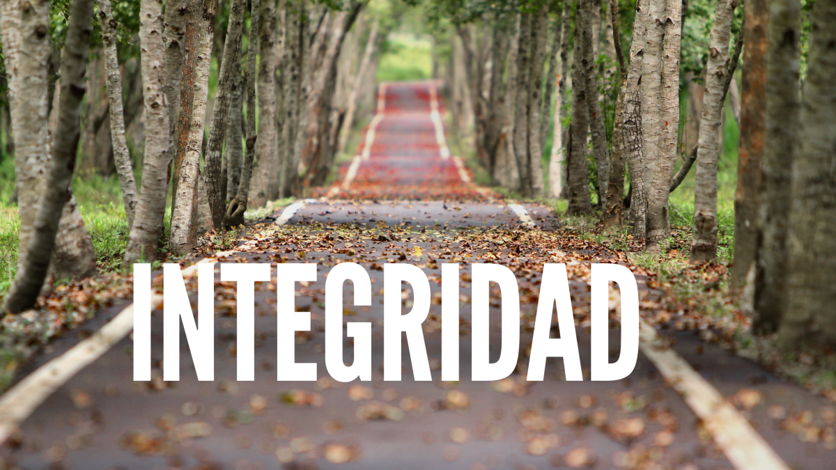 Integridad mas que un valor – Calidad como Experiencia
